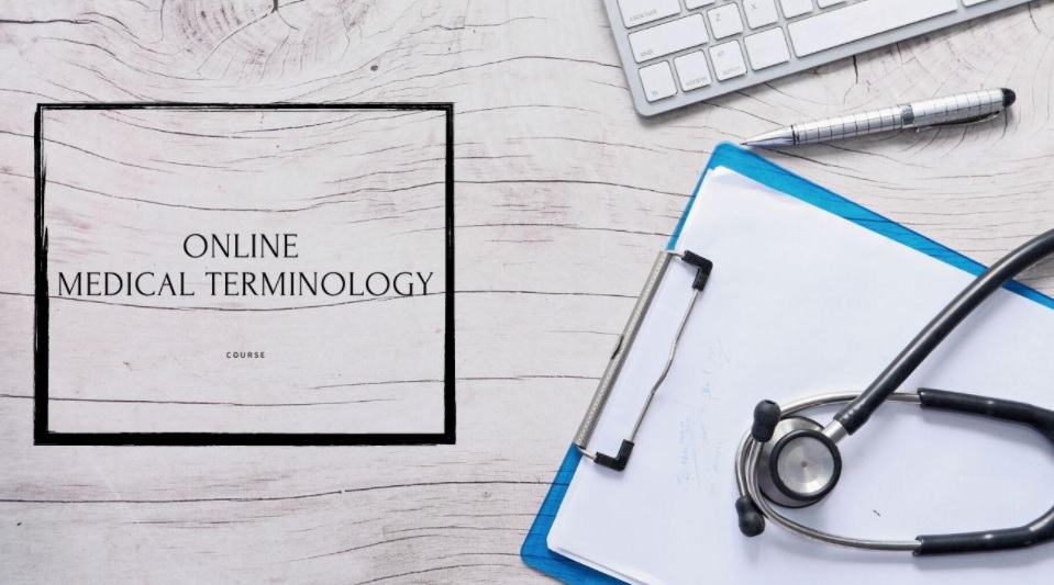 3 Reasons To Take An Online Medical Terminology Course