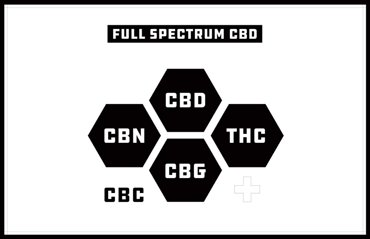 The Science Behind Full-Spectrum CBD: 5 Things To Know