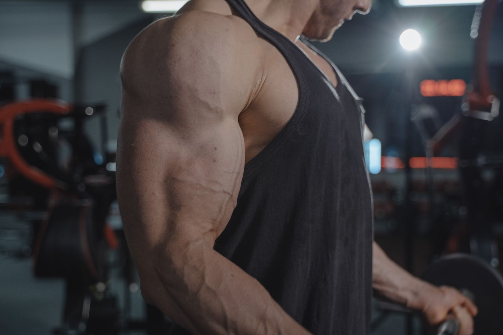 The Science of Muscle Growth: How Your Body Builds Muscle