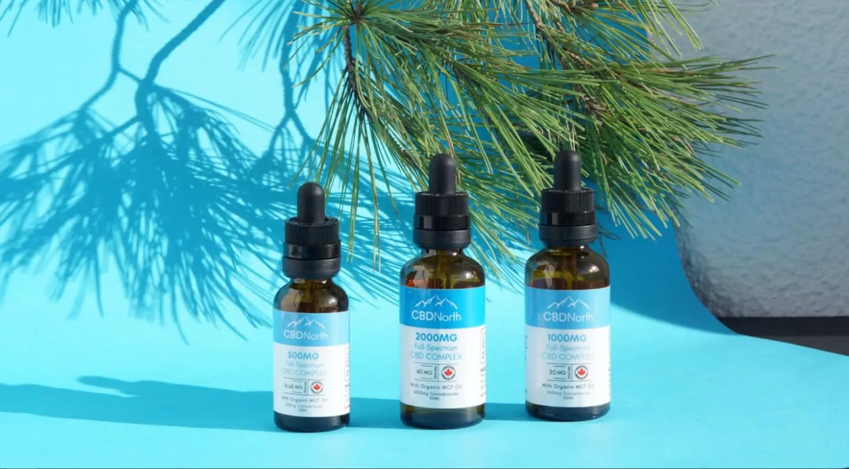 CBD Isolate vs. Full Spectrum CBD: What's the Difference?