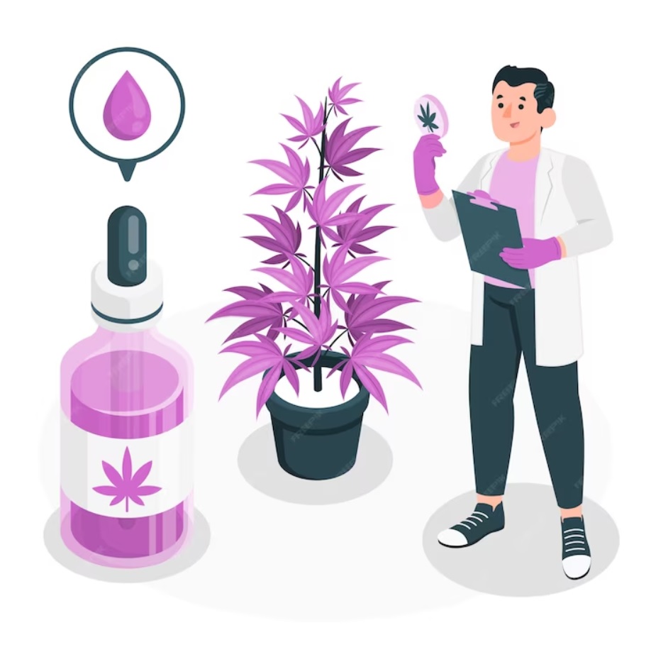 What Is HHC (hexahydrocannabinol)?